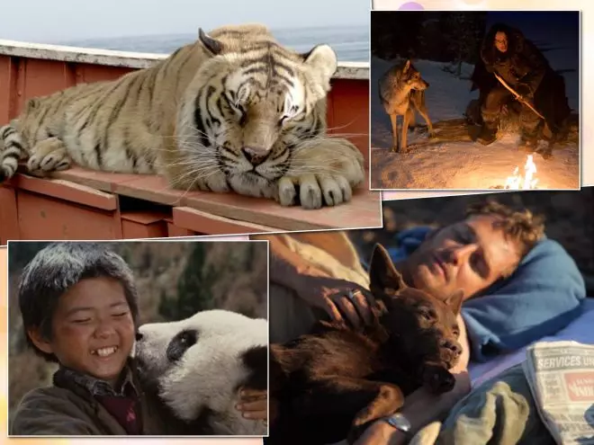 The best films about how animals saves people 1074358_1