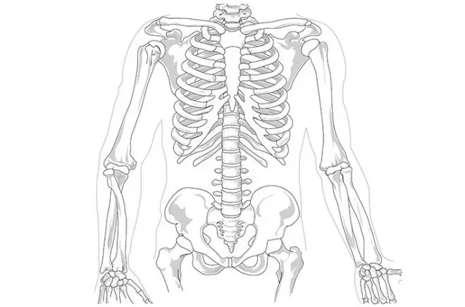 Escoliosi de la columna vertebral en nens: símptomes, prevenció i tractament 11022193_2