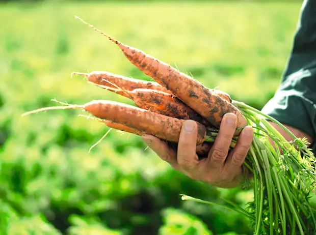 Kungani ukudla kwengane kufanele kube yi-organic