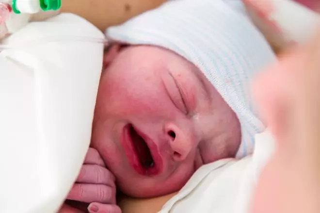 Bayi baru lahir bernama menghormati penyedia internet