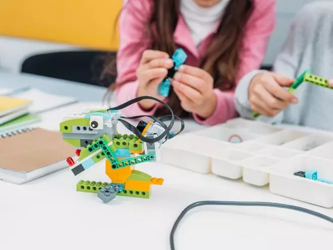 Ang robotics at programming ay isasama sa programa ng pagsasanay mula sa kindergarten 1143972_1