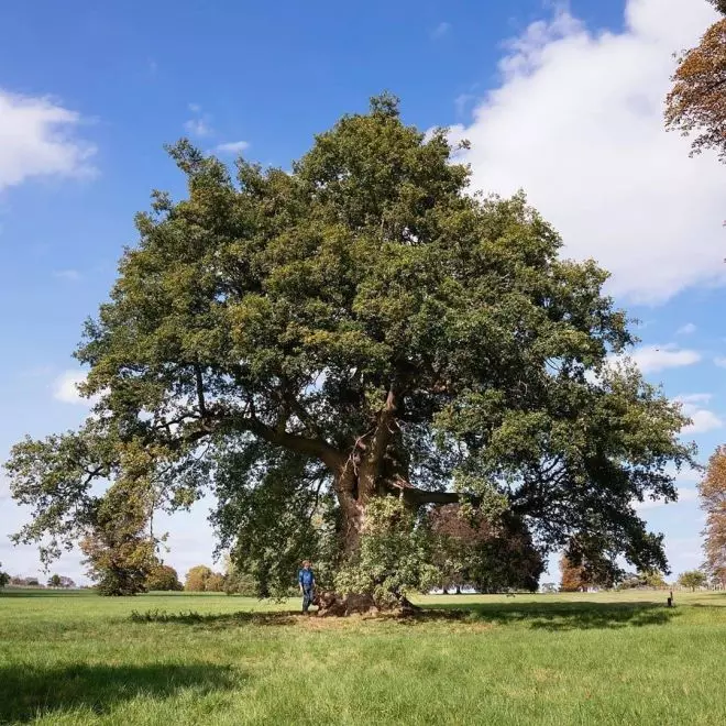 Kate Middleton and Prince William with children on a picnic - Video 1154184_3