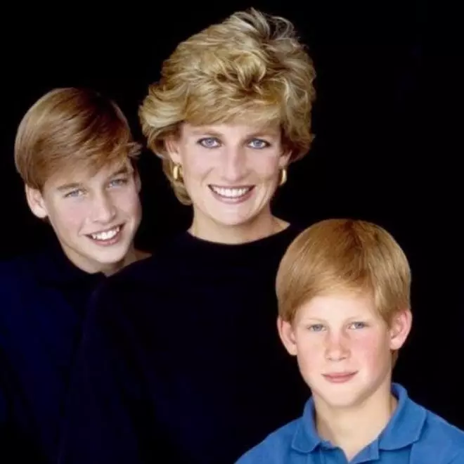 戴安娜公主与儿子威廉和哈利