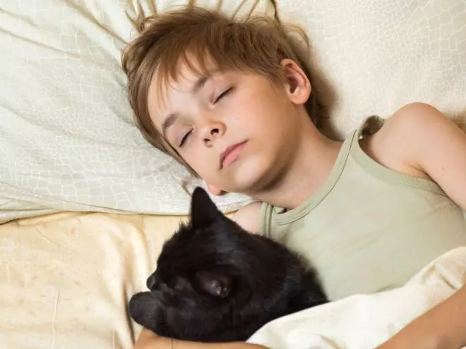 Les scientifiques ont appelé la condition à laquelle les enfants dorment dur 1190557_2