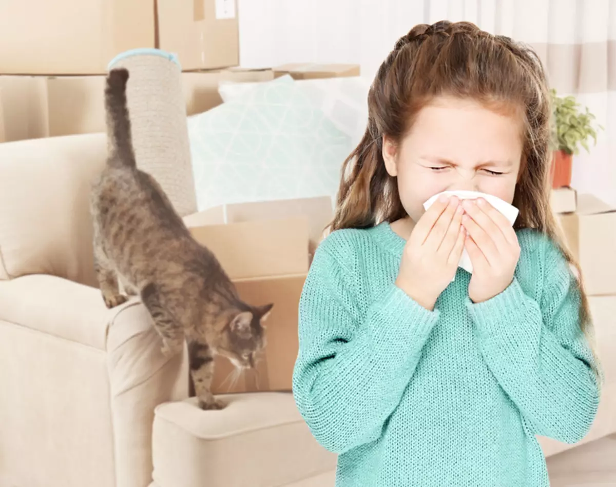 Allergieën voor katten bij kinderen