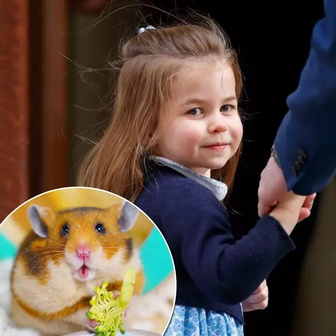 30 interesting facts about the princess Charlotte, which you did not know about 148017_29