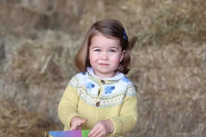 30 interesting facts about the princess Charlotte, which you did not know about 148017_7