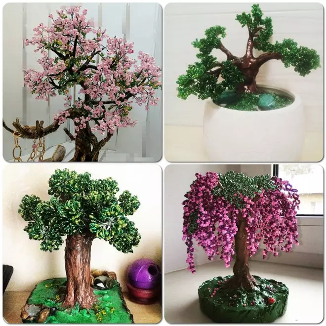 Cómo crecer Inicio Bonsai 156332_13