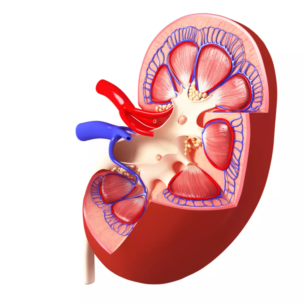 Uşaqlarda glomerulonefrit