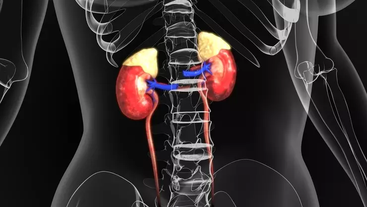 Adrenal Symptomer vu Krankheeten a Frae