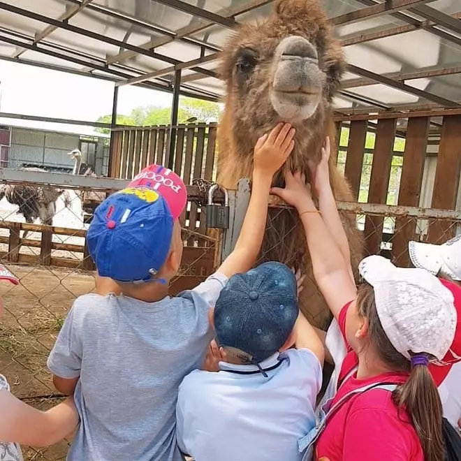 היעדים המעניינים ביותר לנסיעה ברוסיה 186359_25