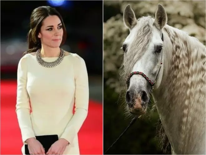 Kate Middleton ly aan allergieë ... vir kinders 229664_4