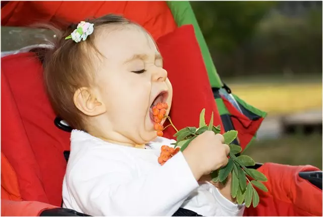 Nafsu makan yang buruk pada anak-anak dari tahun pertama kehidupan: Apa yang salah, dan bagaimana cara memperbaikinya? 23511_7