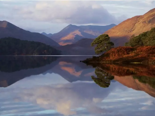 Glen affica