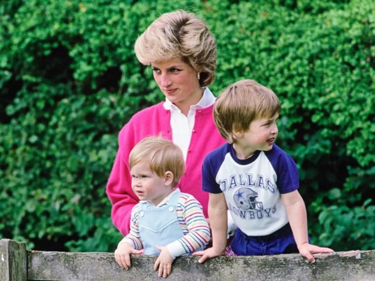 Princes William og Harry: De husker mamma diana 26423_1