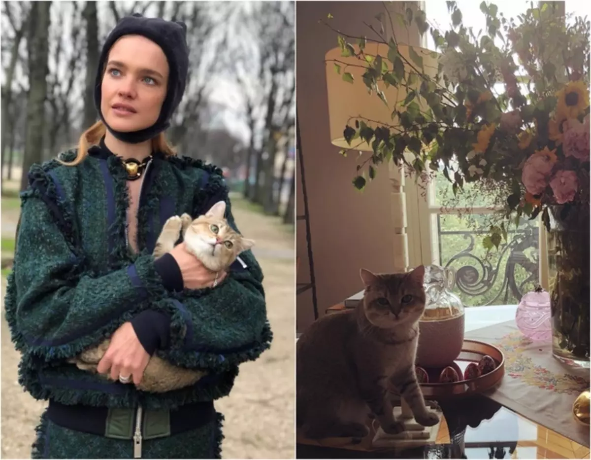 Natalia Vodyanova, bir saklambaçta bir kedi ile oynuyor. 37238_5