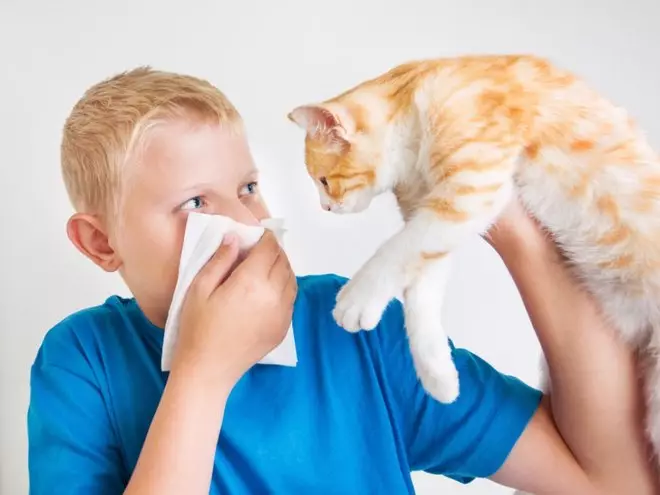 Anafylactische schok bij kinderen: noodzorg, oorzaken en behandeling