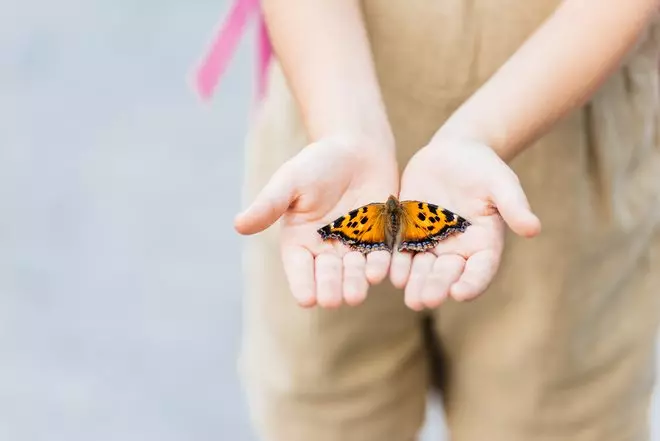 A pszichológus 10 szót és cselekvést hívott, amelyek fertőznek a gyermekeket félelmet 422818_3