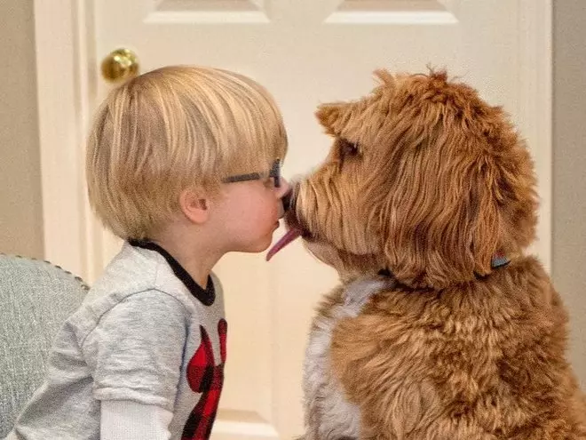 Vaste jongen en hond werden beste vrienden 43730_1