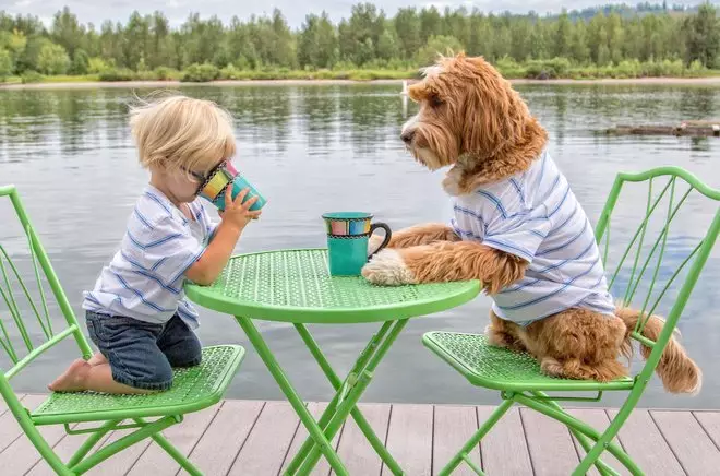 Vaste jongen en hond werden beste vrienden 43730_11