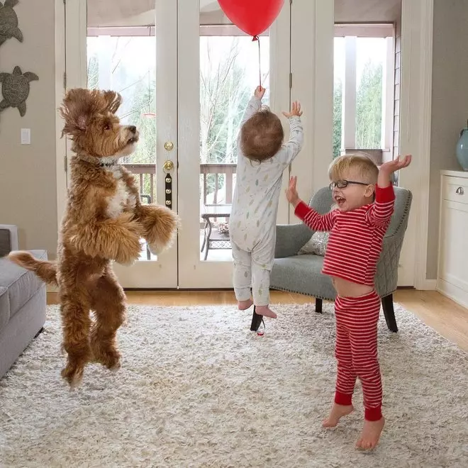 Fêste jonge en hûn waard de bêste freonen 43730_14