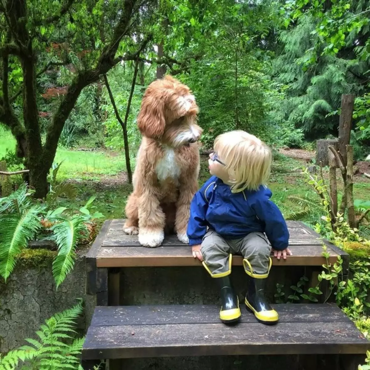 Vaste jongen en hond werden beste vrienden 43730_5