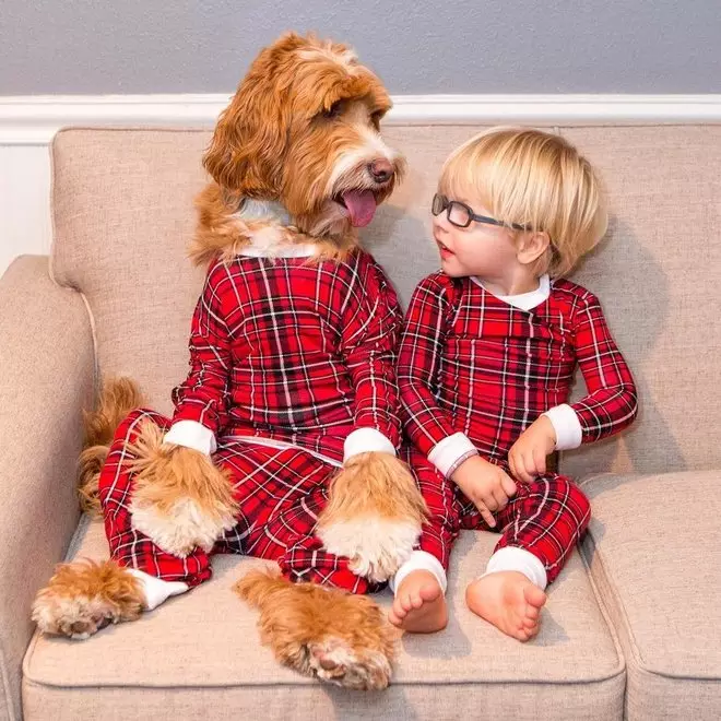 Vaste jongen en hond werden beste vrienden 43730_6