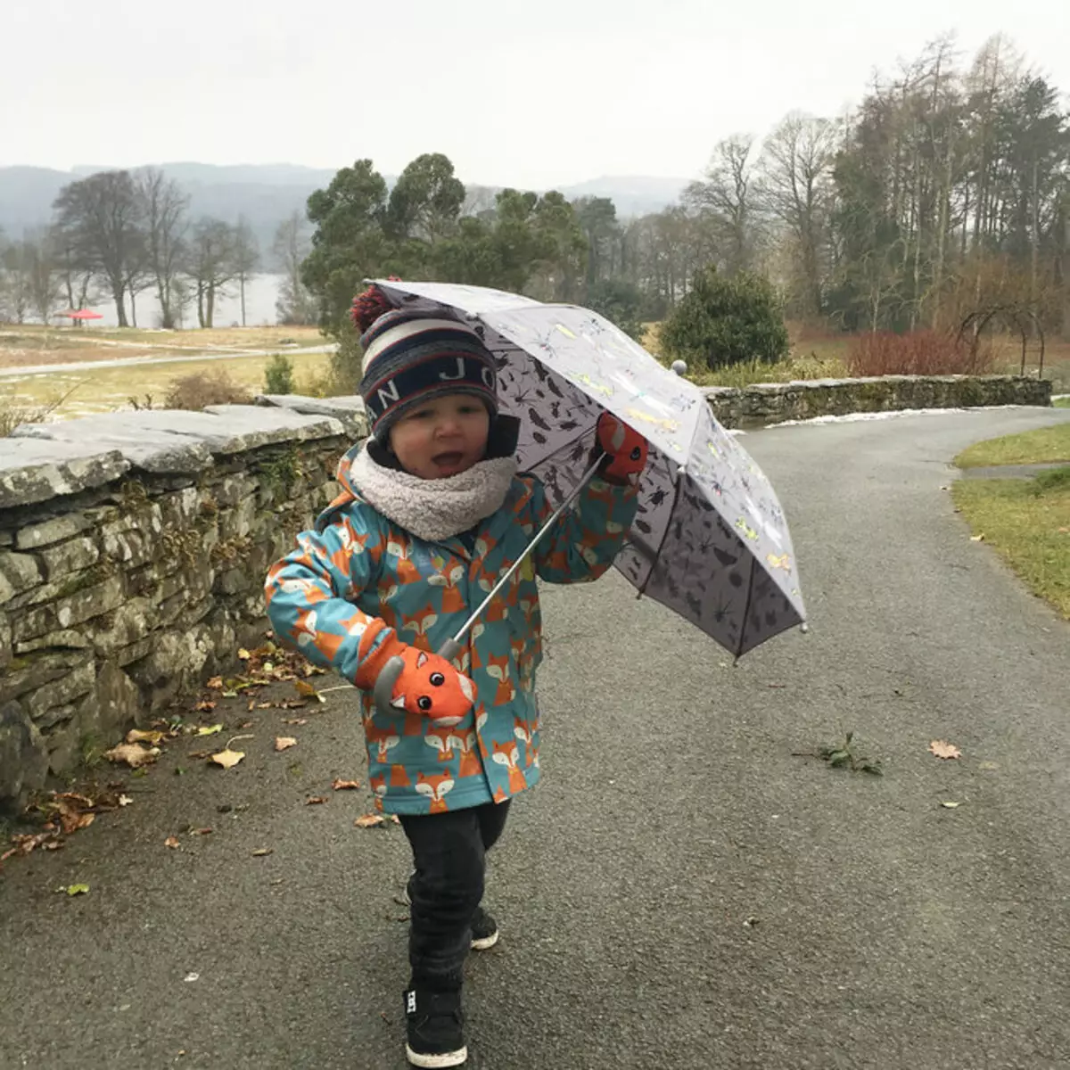 Ура, дощ: красиві дитячі парасольки для хлопчиків і дівчаток 48407_22
