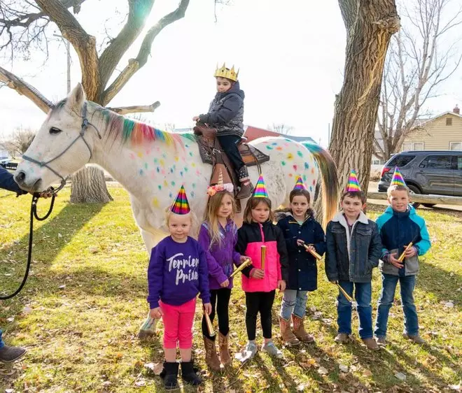 Els amics del nen de 5 anys van complir el somni de muntar a l'unicorn a la vigília de les seves operacions 494197_6
