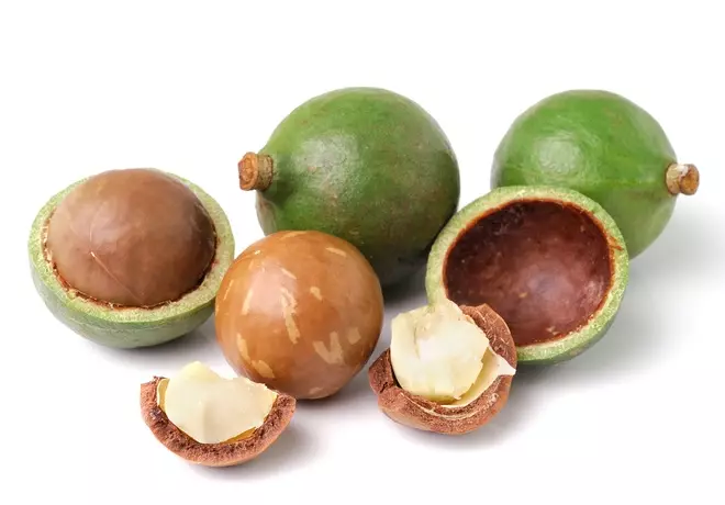 Macadamia Walnut: Tombontsoa sy manimba ny vatana, izay itomboany, fampiharana 512096_1
