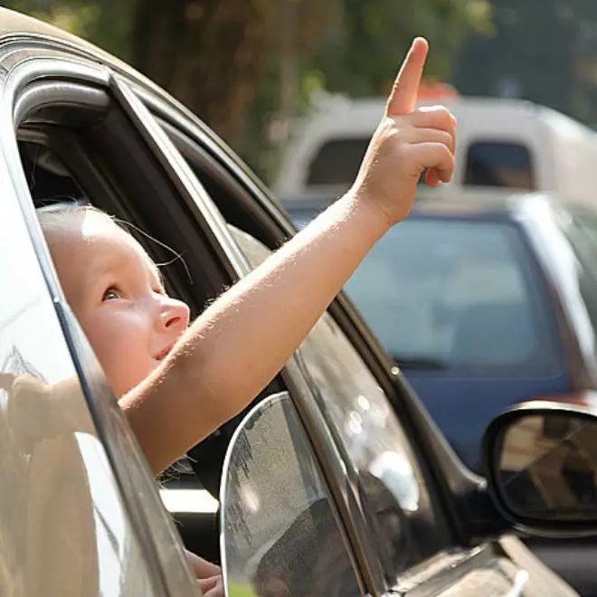 Feliz caminho: o que brincar com uma criança no carro 51998_3