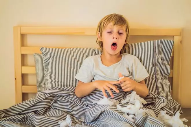 How to treat cough in a child and whether to do it - Dr. Komarovsky, Anna Levadnaya advised 580552_2