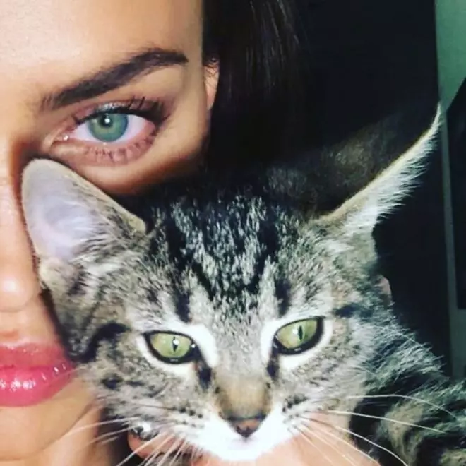 Irina Shayk cu un pisoi