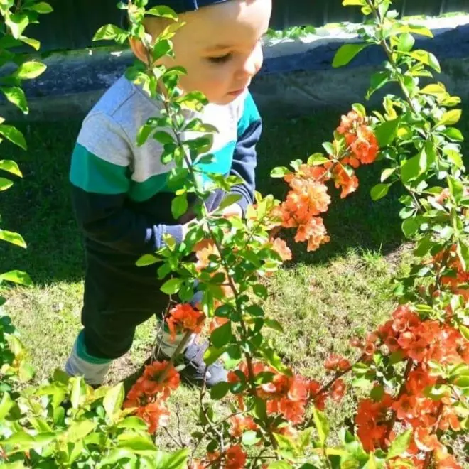 La figlia di Kristina Orbakayte ha mostrato il suo giardino di casa 633276_3