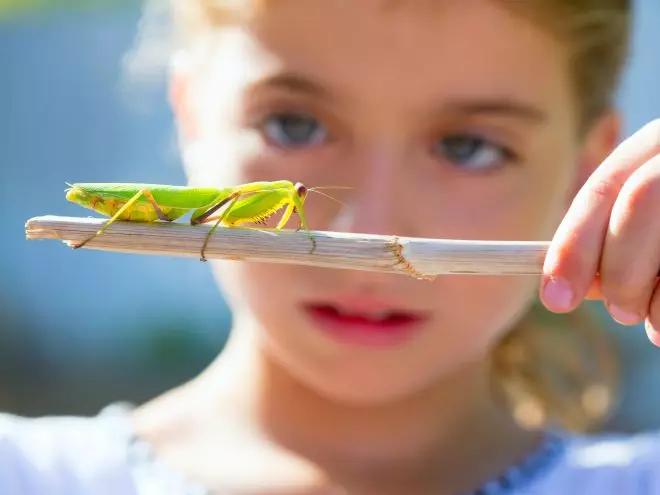 Psykologi kertoi, kuinka pelastaa vauva pelosta hyönteisistä 675136_1