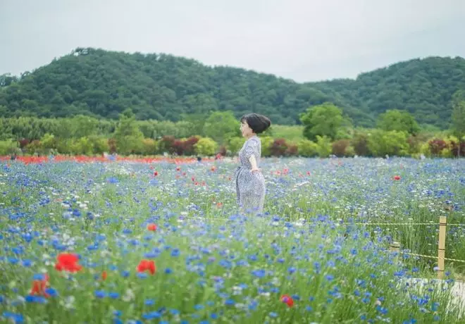 Ideoj Fotoj en Flower Field - Best Rackers, interesaj trovoj, Lifehaki 707566_6