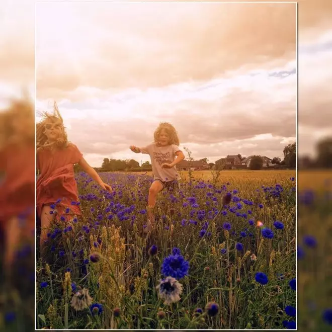 Ideoj Fotoj en Flower Field - Best Rackers, interesaj trovoj, Lifehaki 707566_7