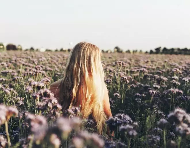 Ideoj Fotoj en Flower Field - Best Rackers, interesaj trovoj, Lifehaki 707566_8