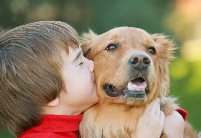 Wie Hunde das Verhalten von Kindern beeinflussen 717089_1