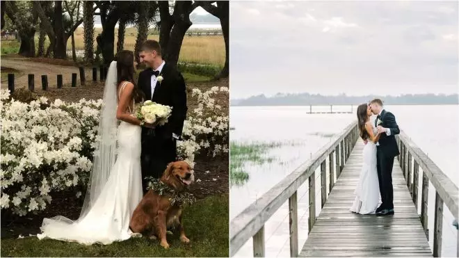 Fluffy Shaper: the dog made a special role at the wedding and became the star of the Internet 739067_3