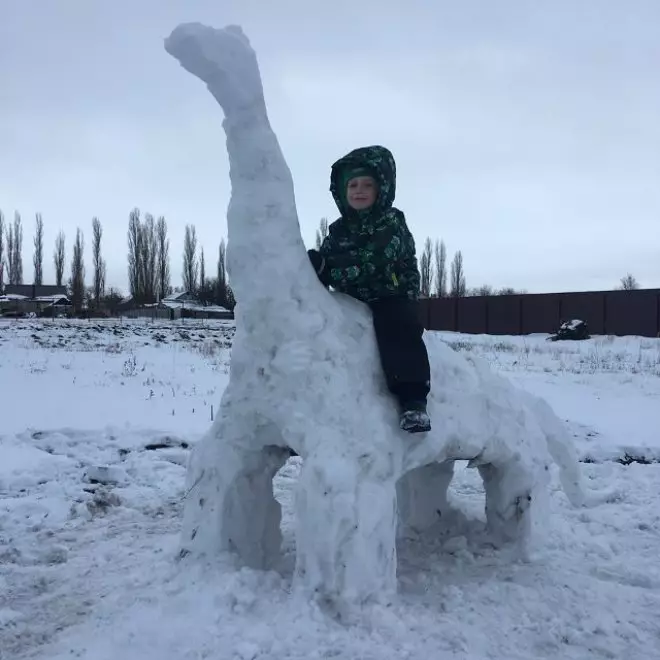 最初的雪：来自世界各地的想法 74894_18