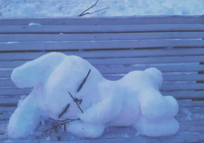 最初的雪：来自世界各地的想法 74894_20