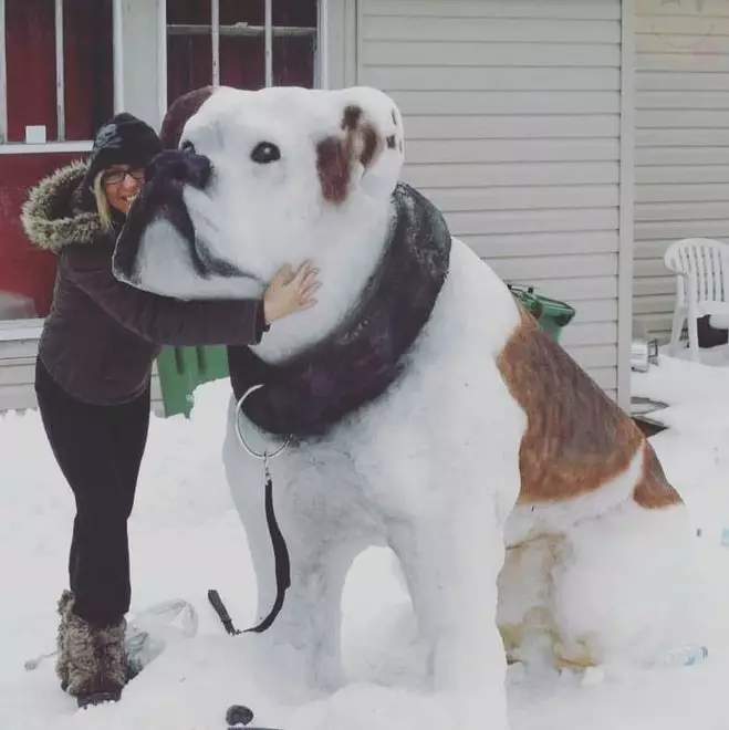 An sneachta is bunúsaí: Smaointe ó gach cearn den domhan 74894_22