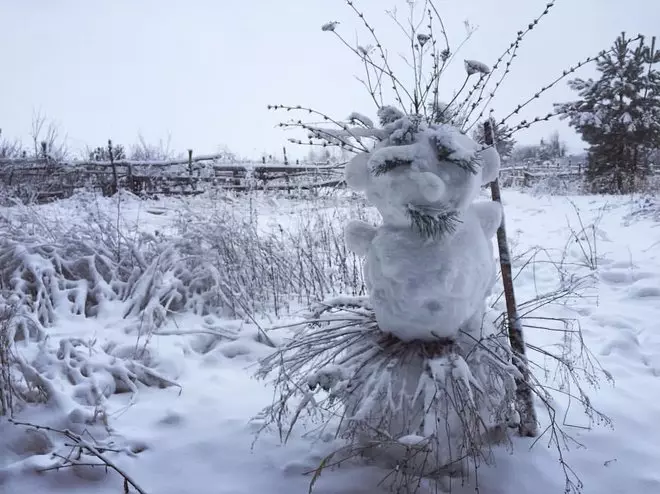 Хамгийн анхны цас: дэлхийн өнцөг булан бүрээс ирсэн санаа 74894_30