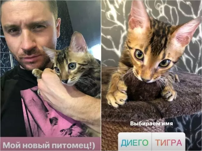 Sergey Lazarev បានបង្ហាញខ្លួនសមាជិកគ្រួសារថ្មី 80787_6