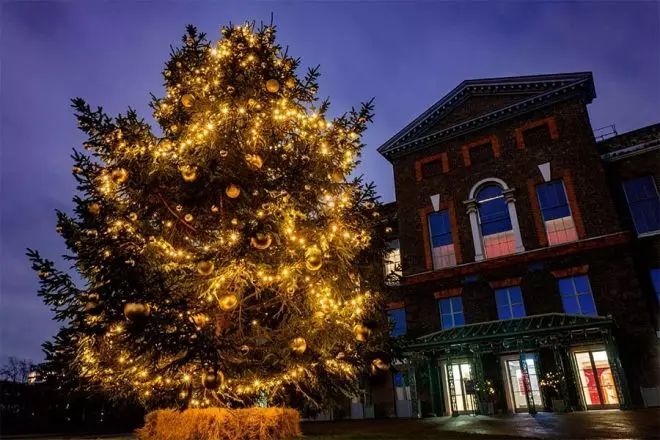 Comment célébrer le Nouvel An dans la famille royale, les arbres de Noël de Cambridge 943698_2